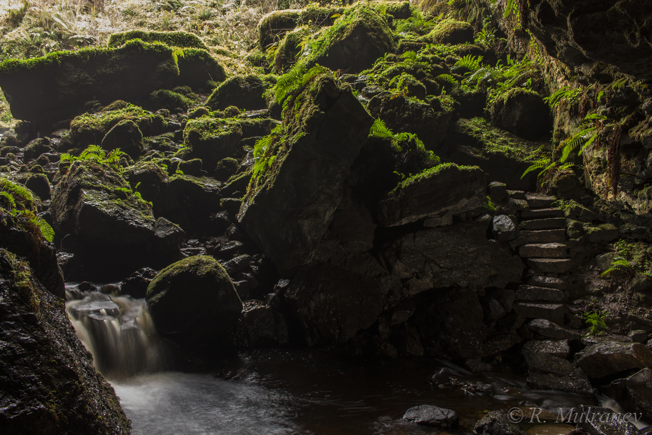 Pollnagollum-Coolarkin Cave – Caves Of Ireland