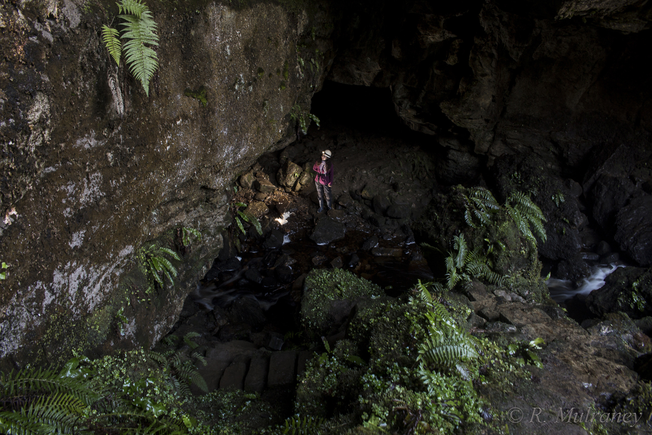 Pollnagollum-Coolarkin Cave – Caves Of Ireland