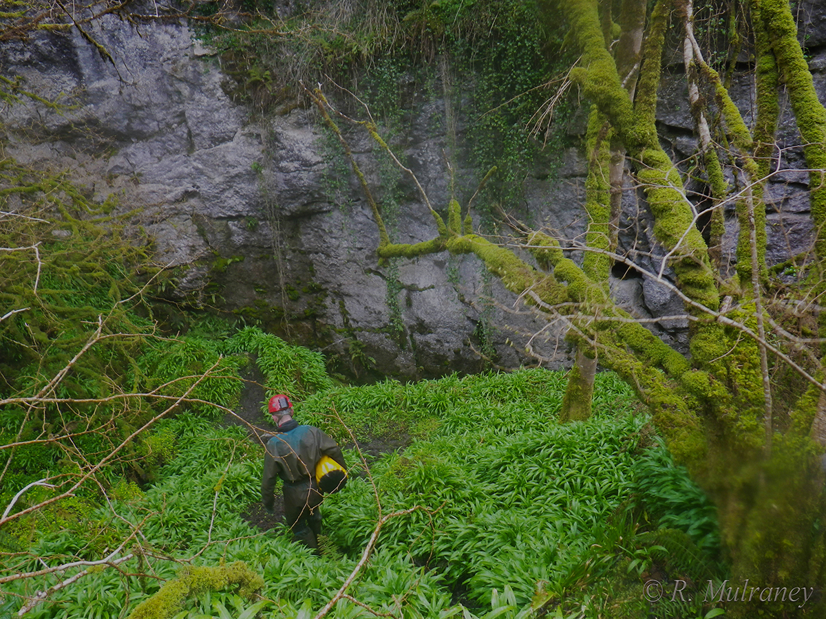 Cradle Hole – Caves Of Ireland