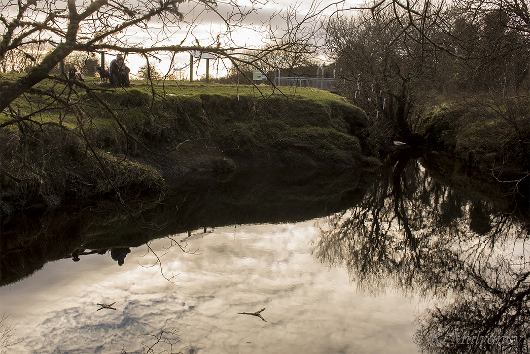 Shannon Cave – Caves Of Ireland