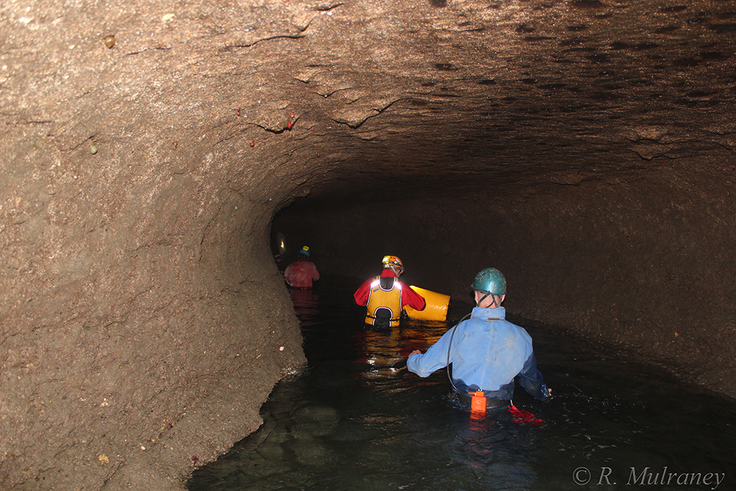 Urchin Cave – Caves Of Ireland
